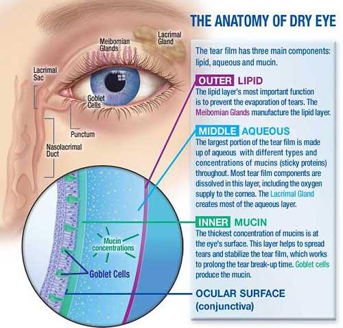 Dry Eye Center – Primary Eye Care